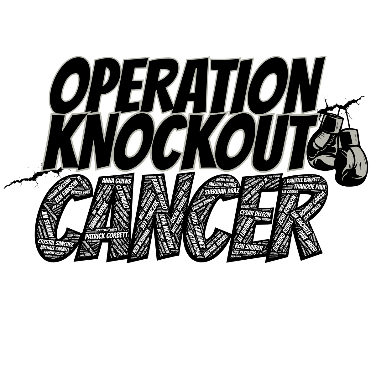 Operation Knockout Cancer – HunterSeven Foundation